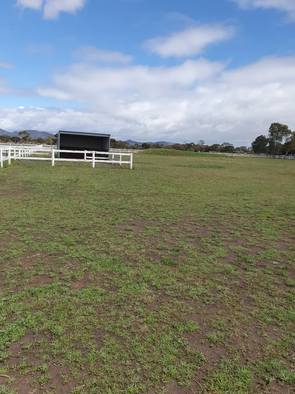 Quite River Sanctuary - Horse Agistment and care - Farm Profile ...